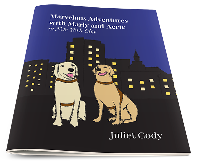 The Book | Marvelous Adventures with Marly and Aerie in San Diego