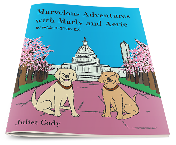 The Book | Marvelous Adventures with Marly and Aerie in San Diego