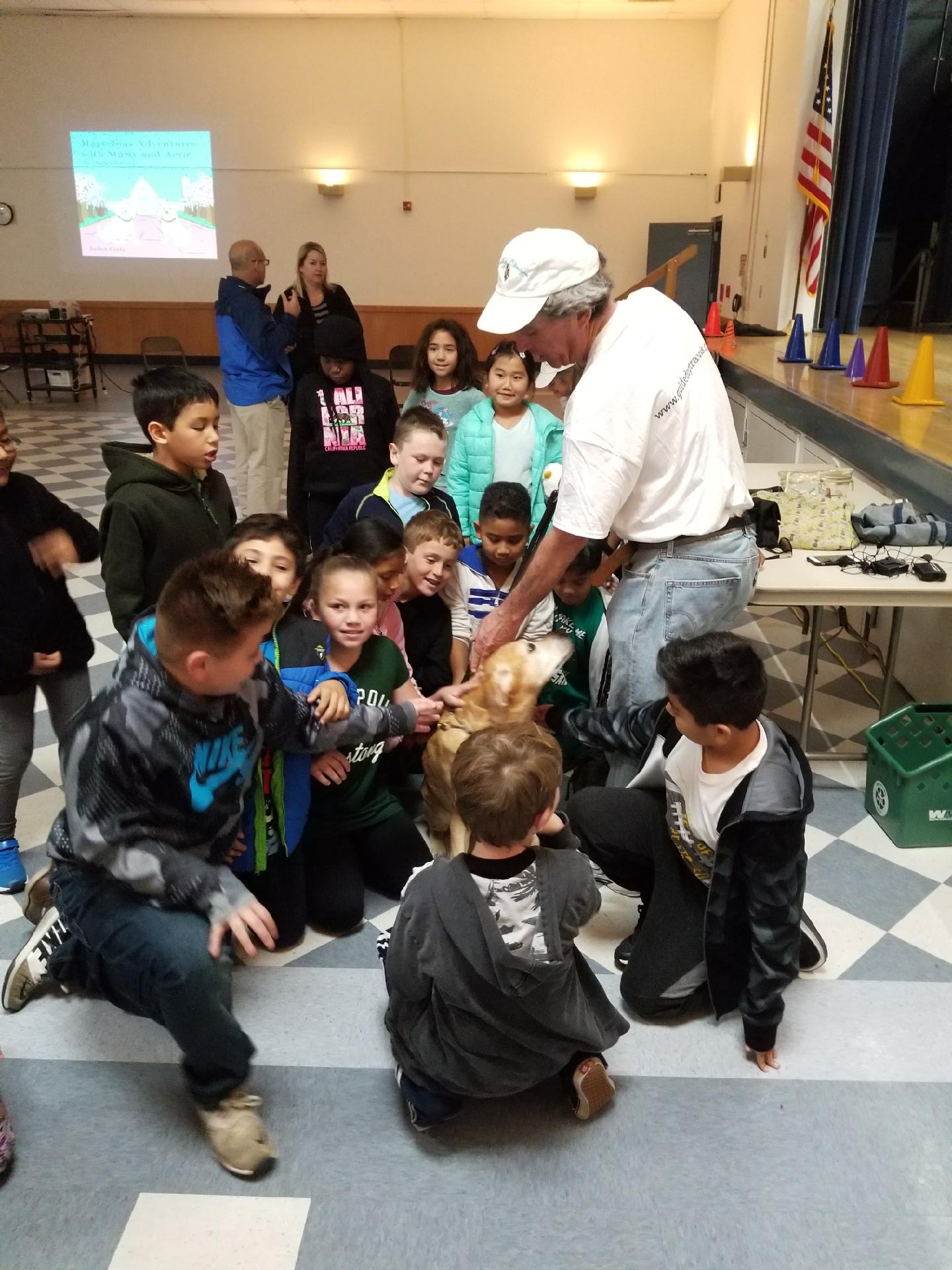 Gallery | Marvelous Adventures with Marly and Aerie in San ...