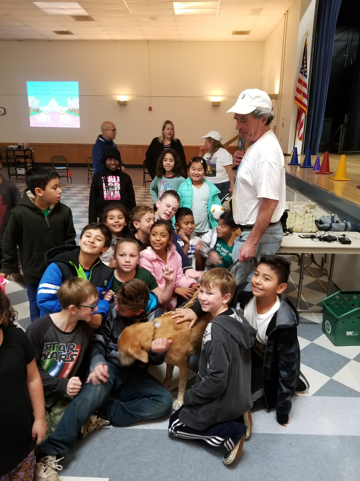 Gallery | Marvelous Adventures with Marly and Aerie in San ...