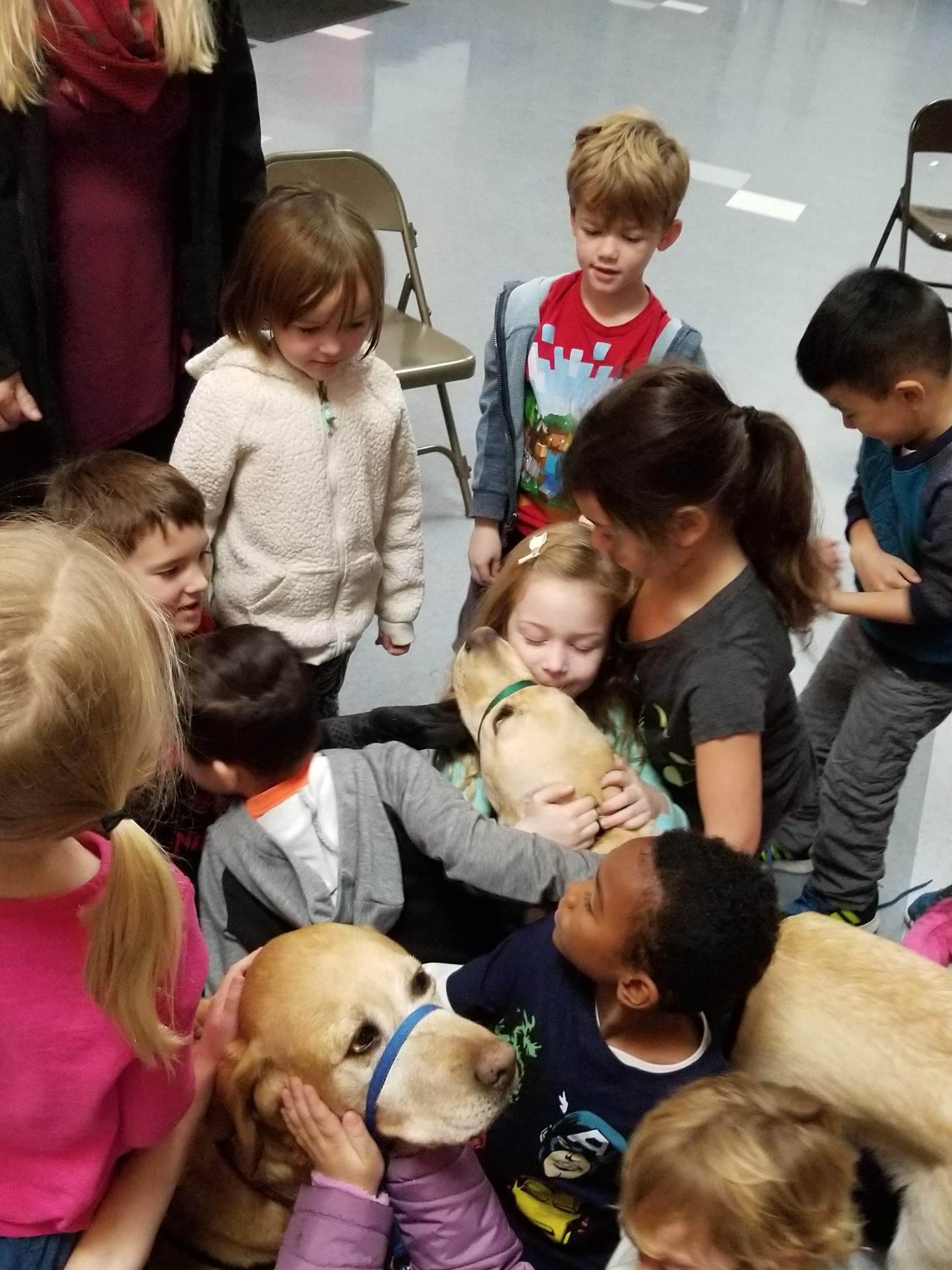 New Presentation Photos and Video! | Marvelous Adventures with Marly ...